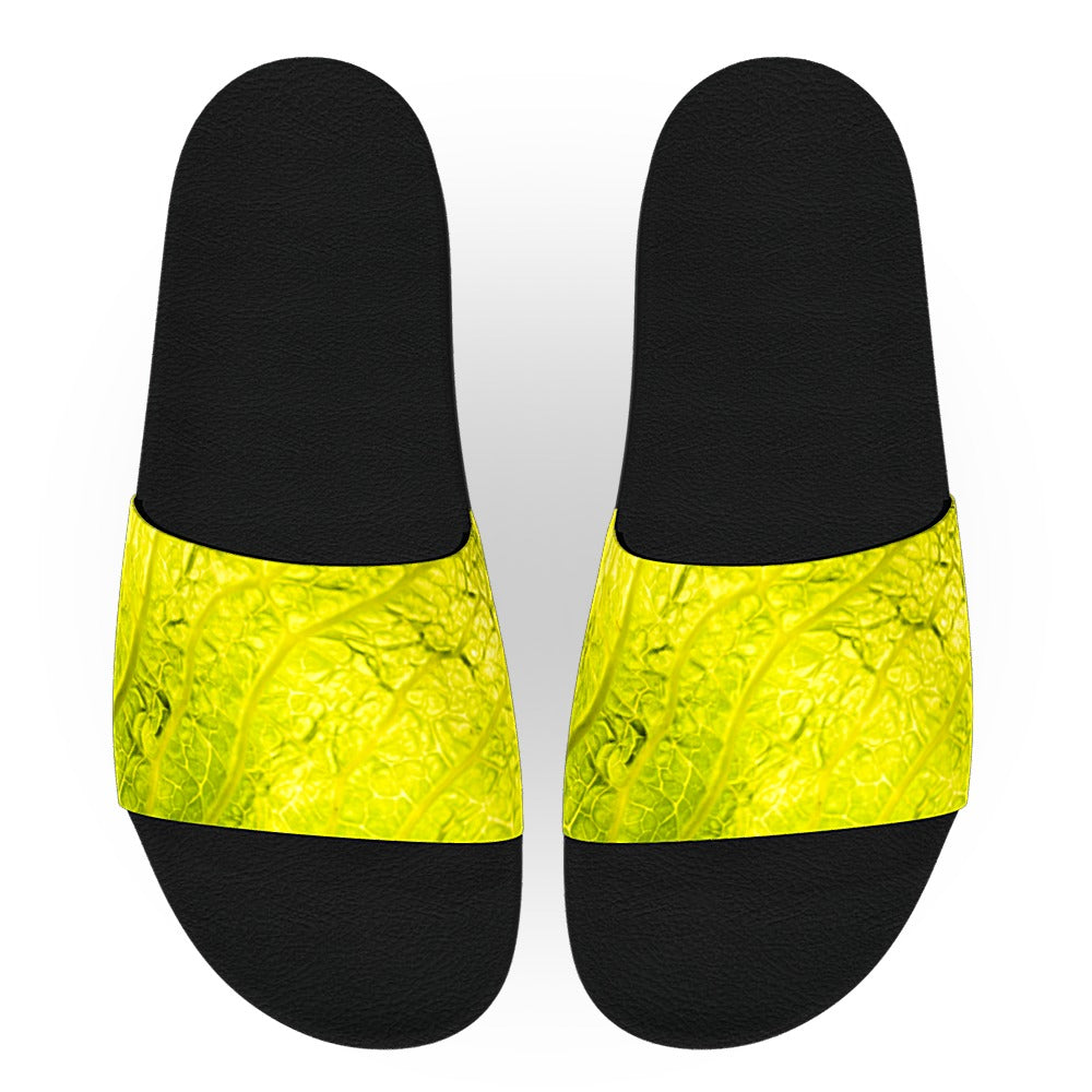 Deco Slides Online Customizer